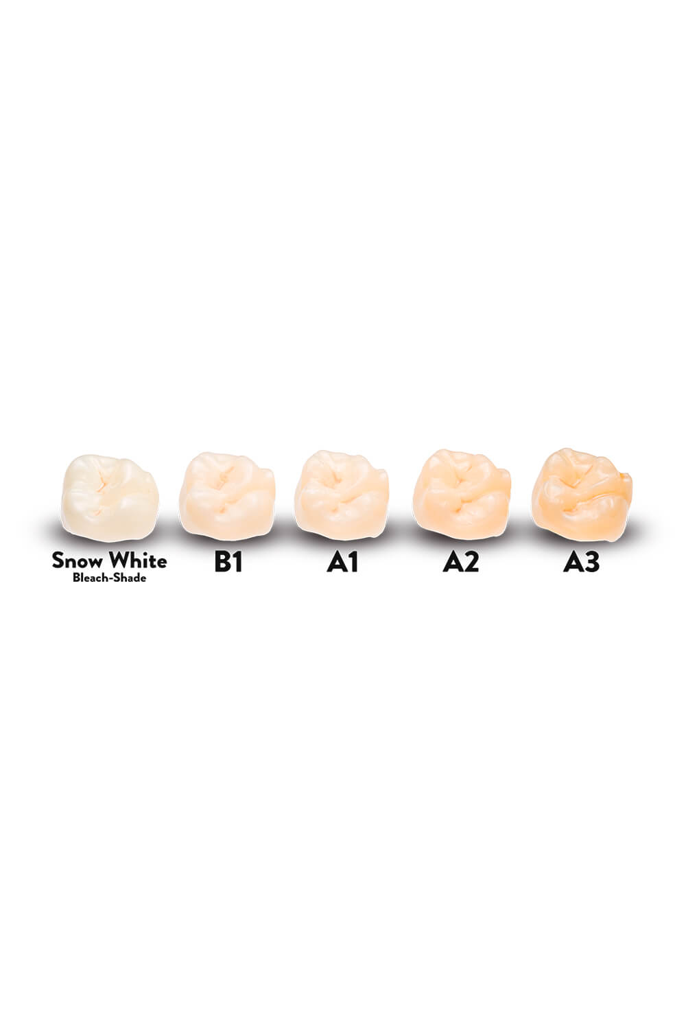 Resina Saremco® Crowntec - Bionexum Dental Solutions